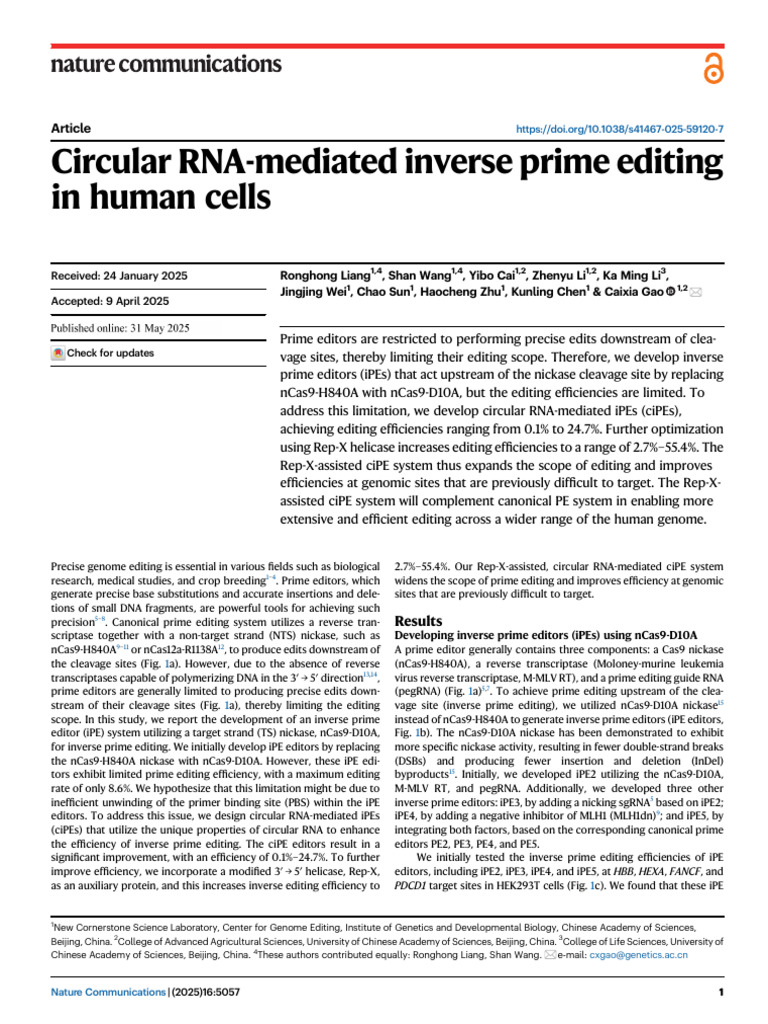 Circular RNA-mediated Inverse Prime Editing in Human Cells: Article | PDF | Reverse ...