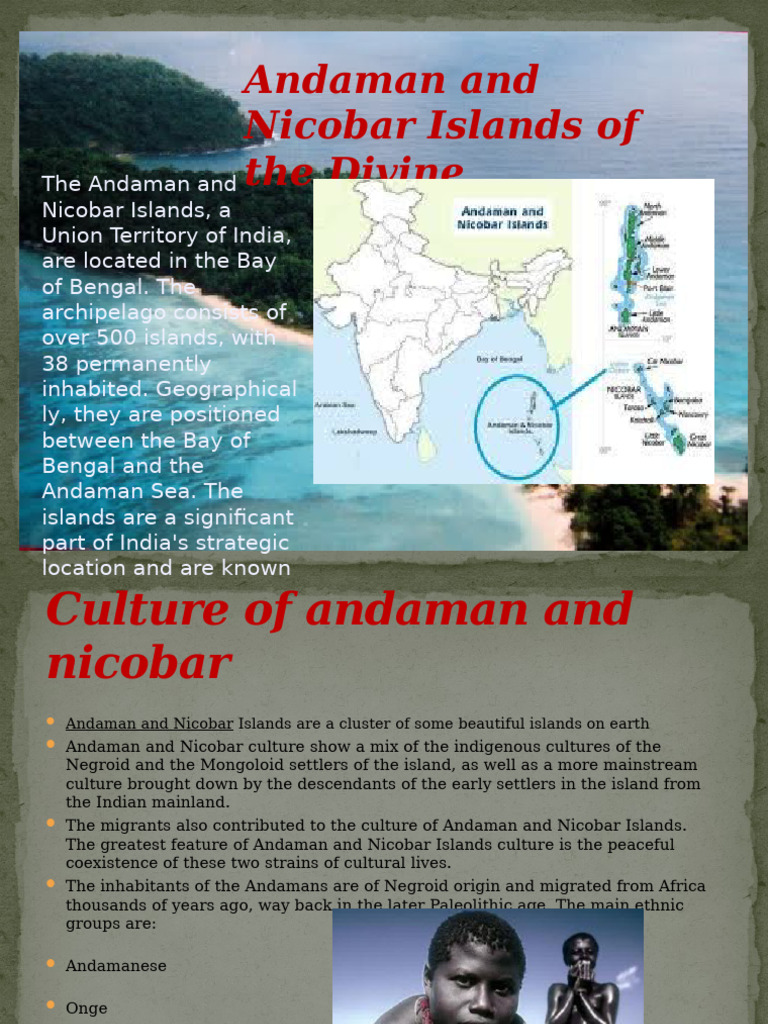 Culture and Cuisine of Andaman Islands | PDF | Curry | Languages Of India