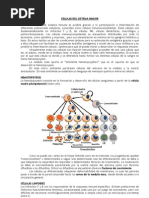 INTERLEUCINAS | PDF | Citocina | Célula T