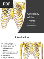 Costal Arch | PDF | Thorax | Thorax (Human Anatomy)
