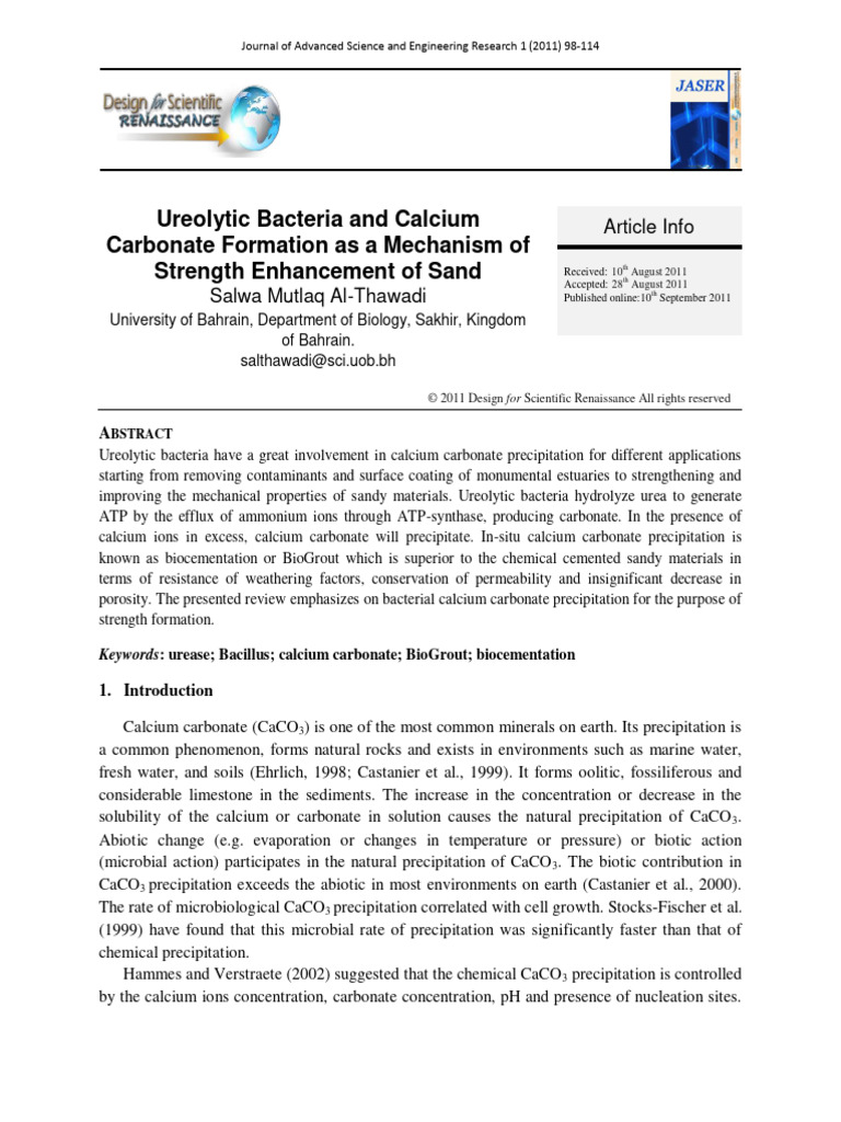 Ureolytic Bacteria and Calcium Carbonate | PDF | Limestone | Calcite