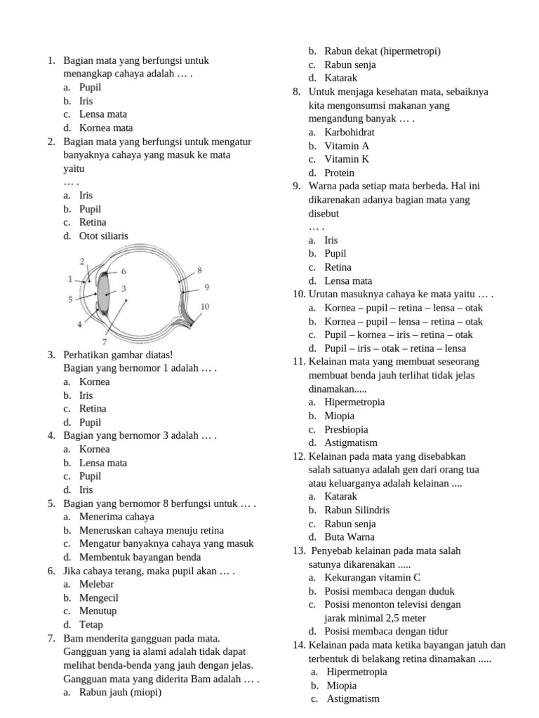 Soal Panca Indra Kelas 3 | PDF