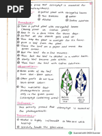 Ib Biology Lab Potato Tissue | PDF | Biology