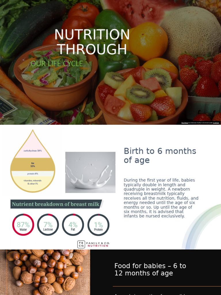 Nutrition Across Life Stages Guide | PDF | Foods | Infants