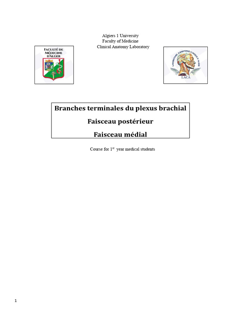 Anatomie des nerfs du plexus brachial | PDF | Main | Membres (anatomie)