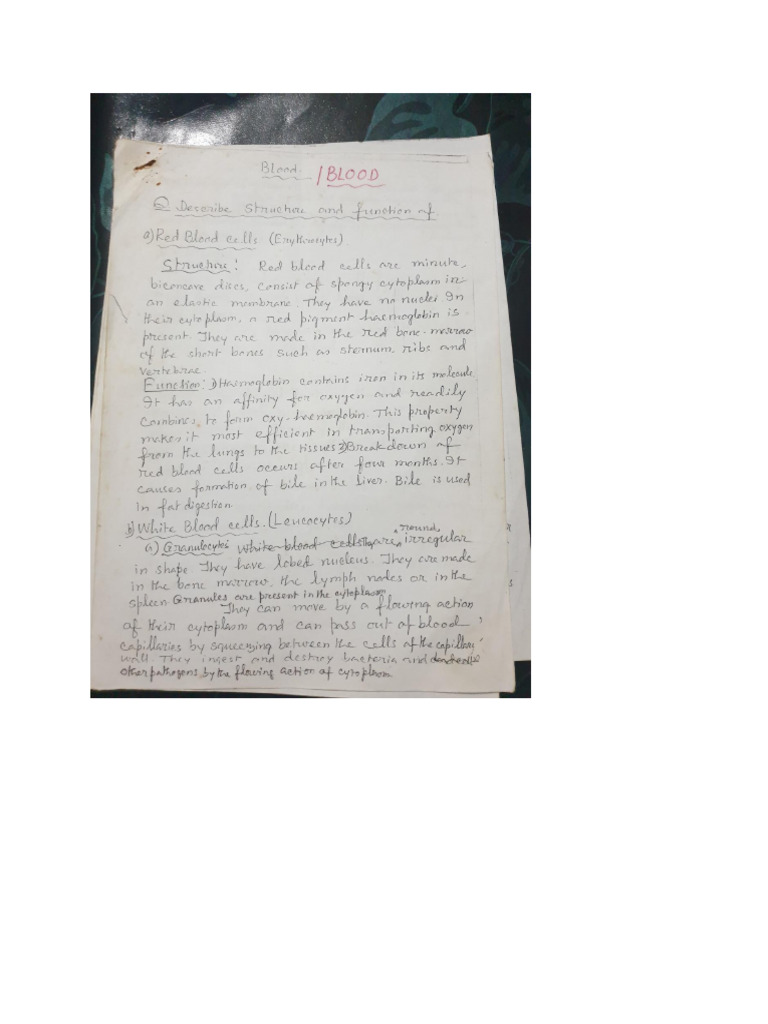 Blood Circulation | PDF