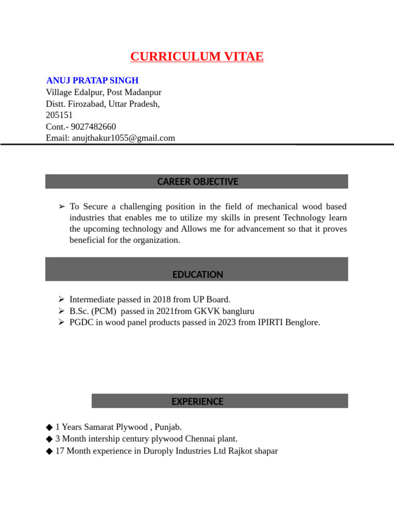 Anuj CV | PDF