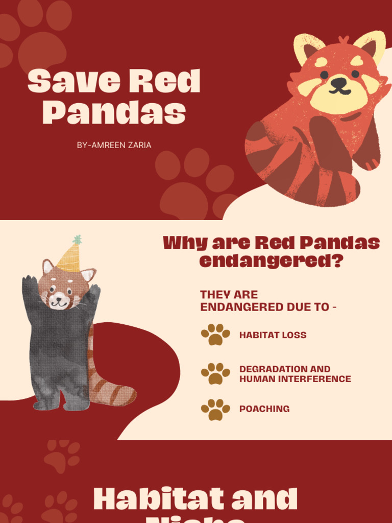 Save Red Pandas | PDF
