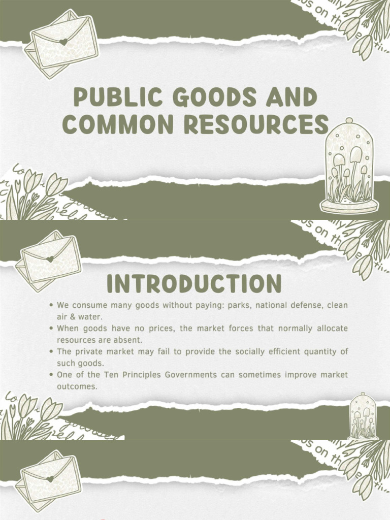 Group 8 - Chapter 9 Public Goods and Common Resources | PDF