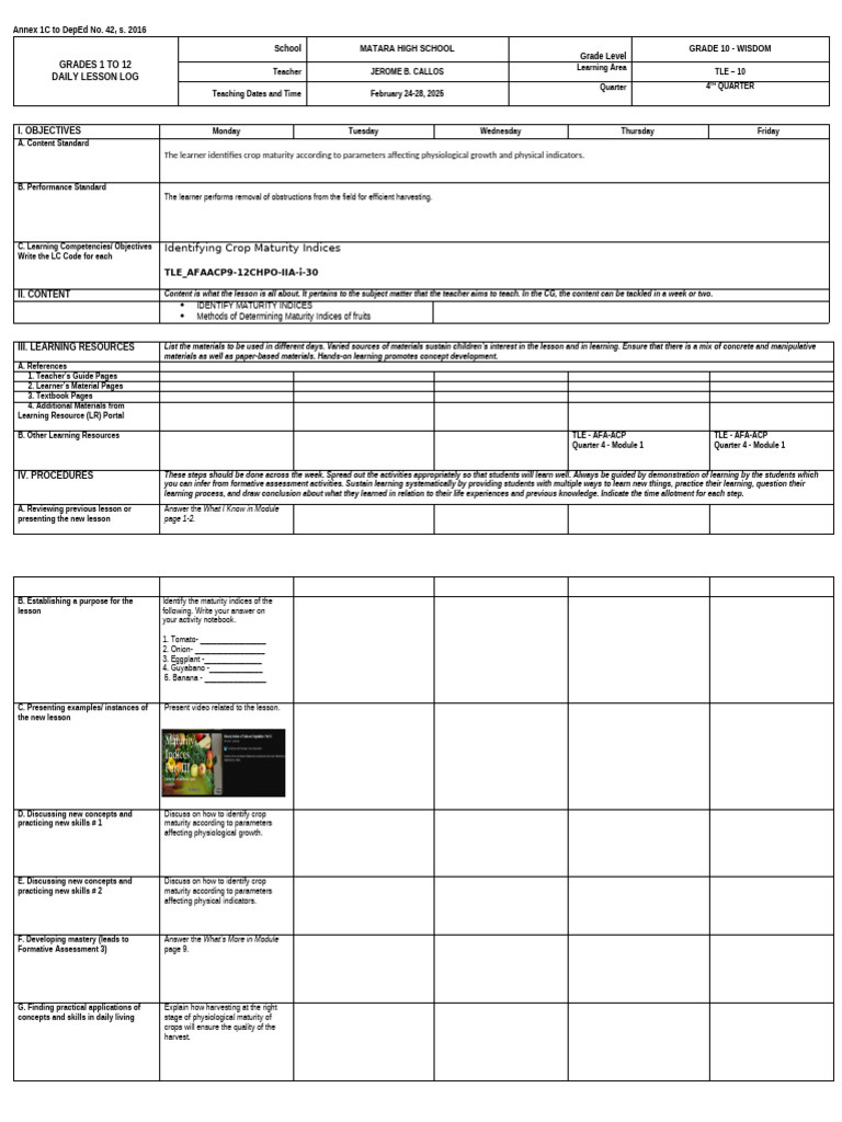 g10 Dll q4 w1 Maturity Indices - Continuation | PDF | Learning | Teachers