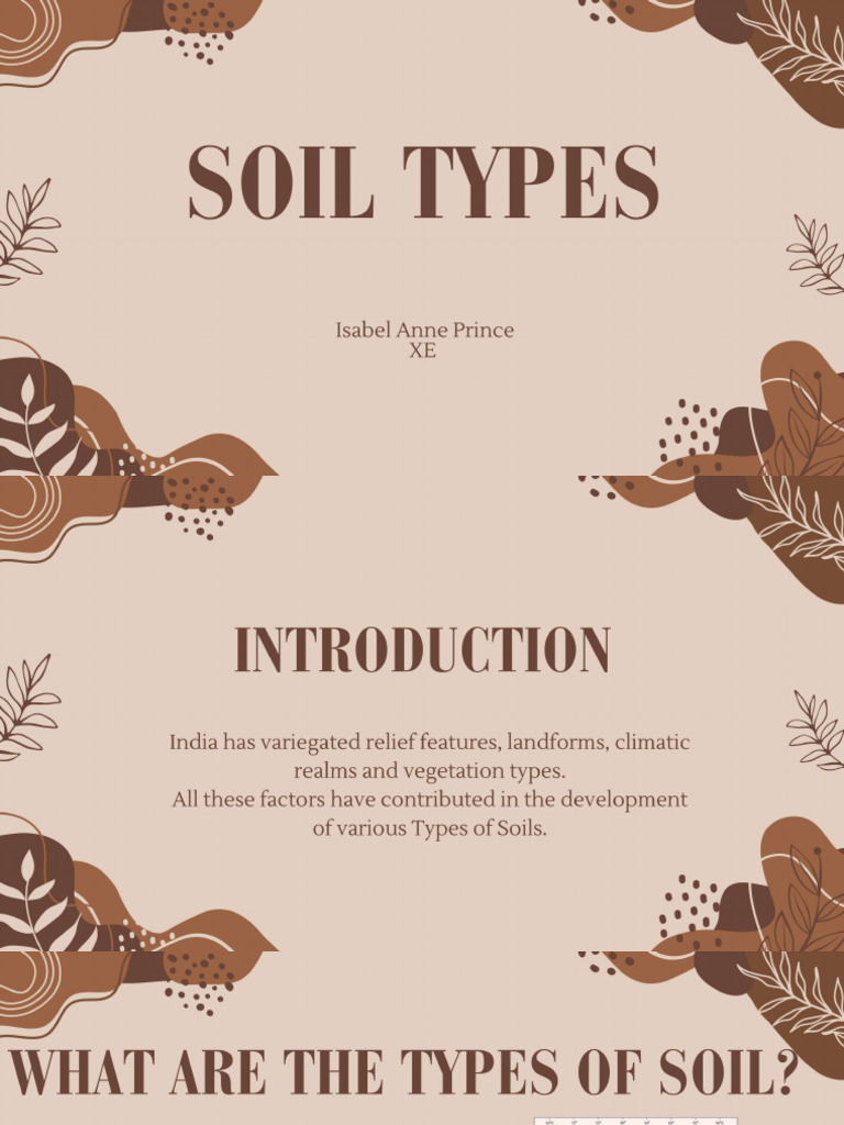 Soil Types | PDF