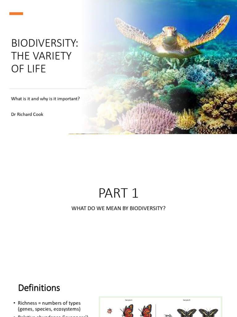 Biodiversity 2024 - Handout-1 | PDF | Bacteria | Biodiversity