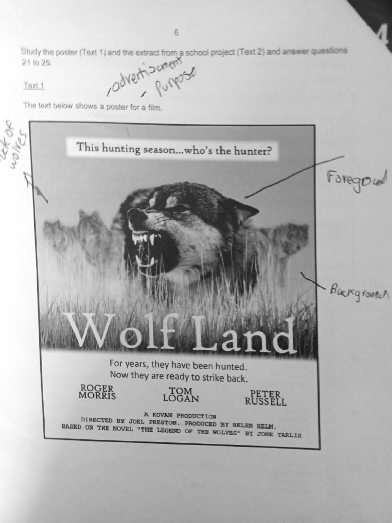 Mportant Questions and Learning Points | PDF