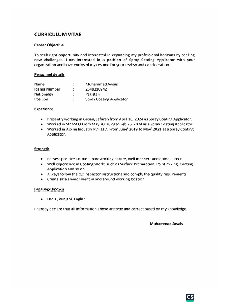 Paint Applicator CV | PDF