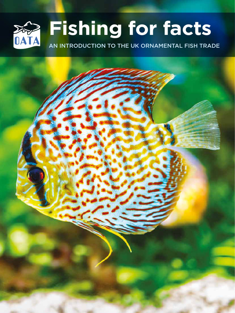 Fishing For Facts Report ONLINE SPREADS | PDF | Fishkeeping | Aquarium