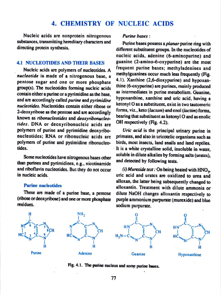 CHEMISTRY OF NUCLEIC ACIDS | PDF