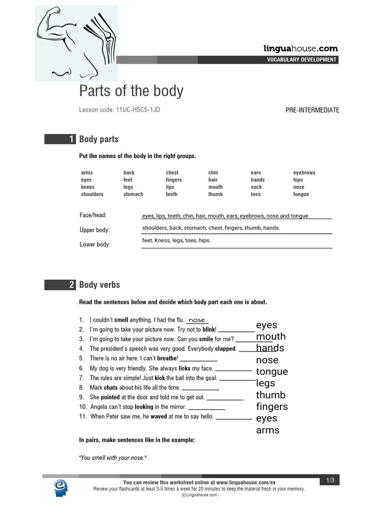 Edited - Parts of The Body Worksheet | PDF | Mouth