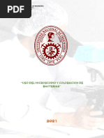 Protocolo Tinción PAS | PDF