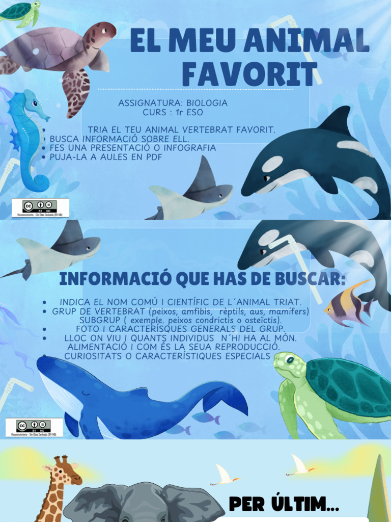 El Meu Animal Favorit | PDF