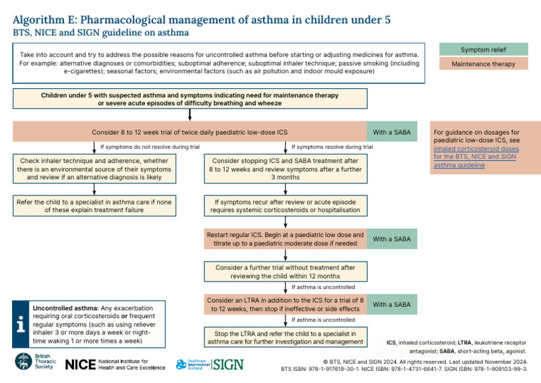 Asthma Management for Children Under 5 | PDF | Asthma | Clinical Medicine