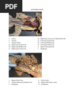 Mccod PDF | PDF | Birth Certificate | Death