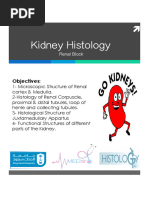 Urodynamics Normal Values Guide | PDF | Urinary Incontinence | Urination