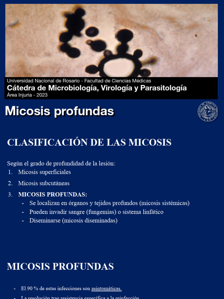 Micosis Profundas: Clasificación y Diagnóstico | PDF | Especialidades ...