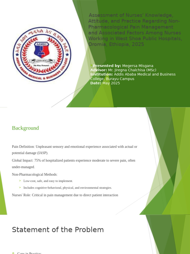 Megersa Pp | PDF | Nursing | Pain