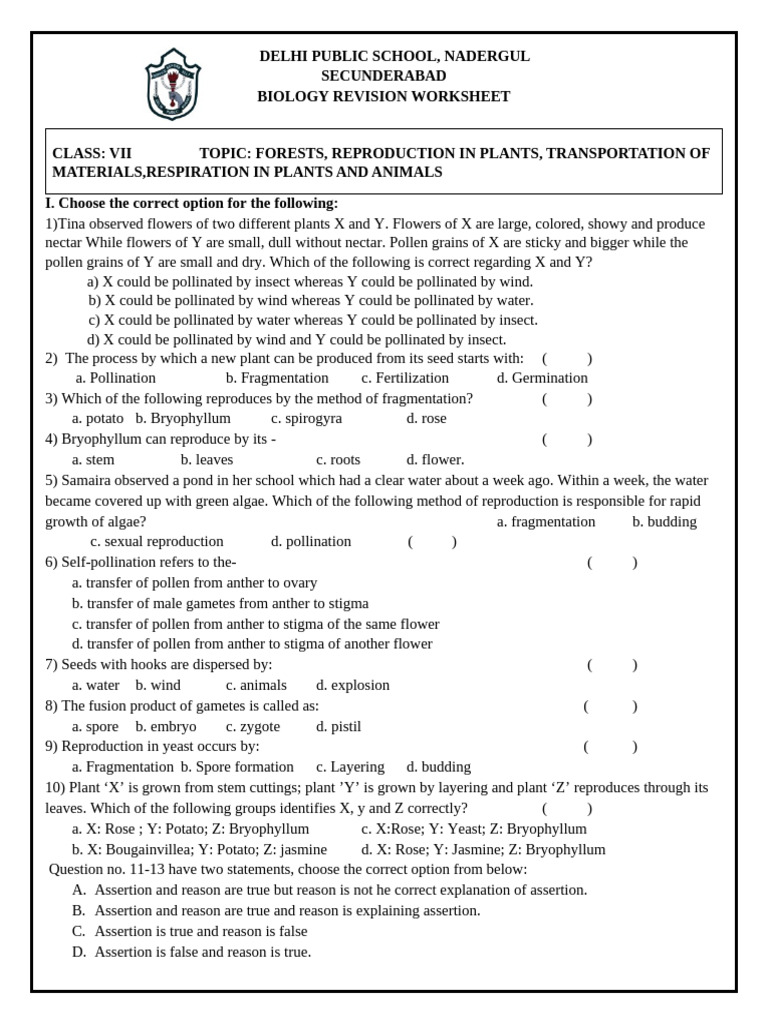 Grade - 7 Final Revision Worksheet 24-25 | PDF | Flowers | Respiratory ...