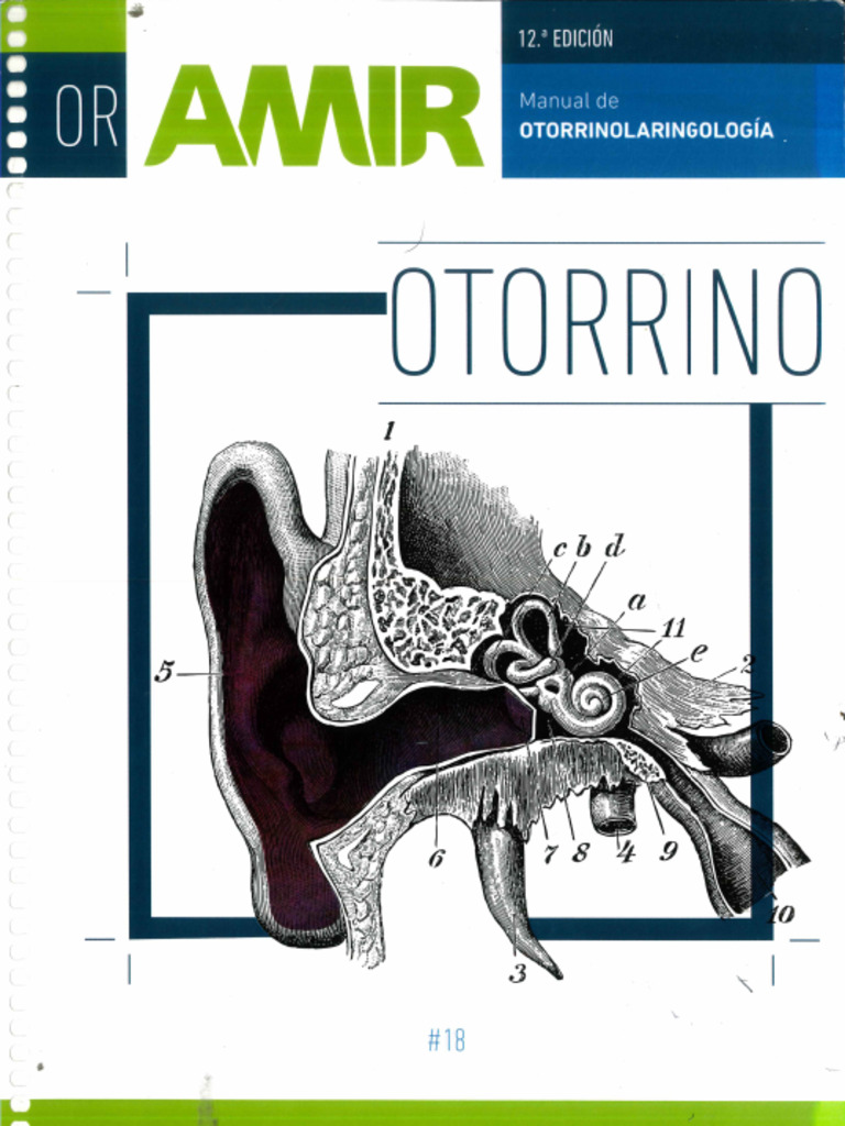 Amir Otorrino | PDF