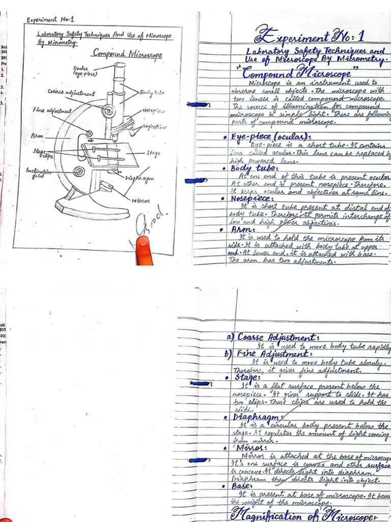 1st+2nd Year Biology Practical | PDF