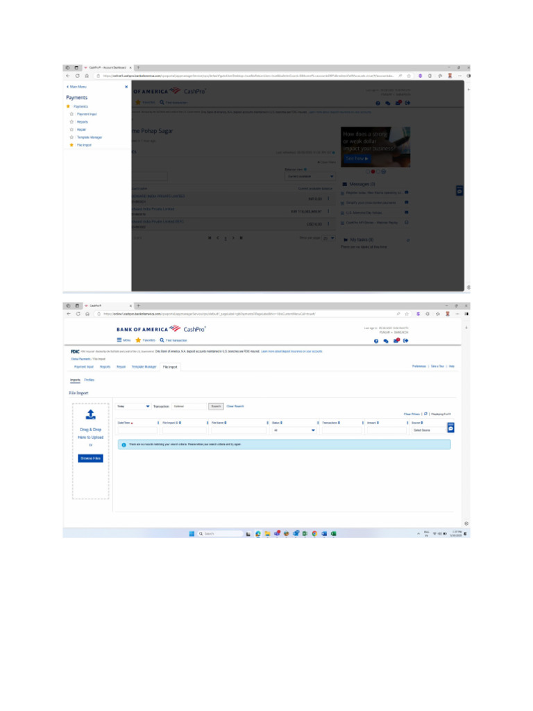 Bank Template Screen Shot | PDF