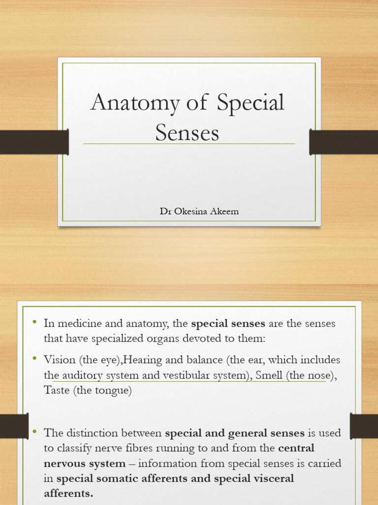 Anatomy of Special Senses | PDF | Ear | Senses