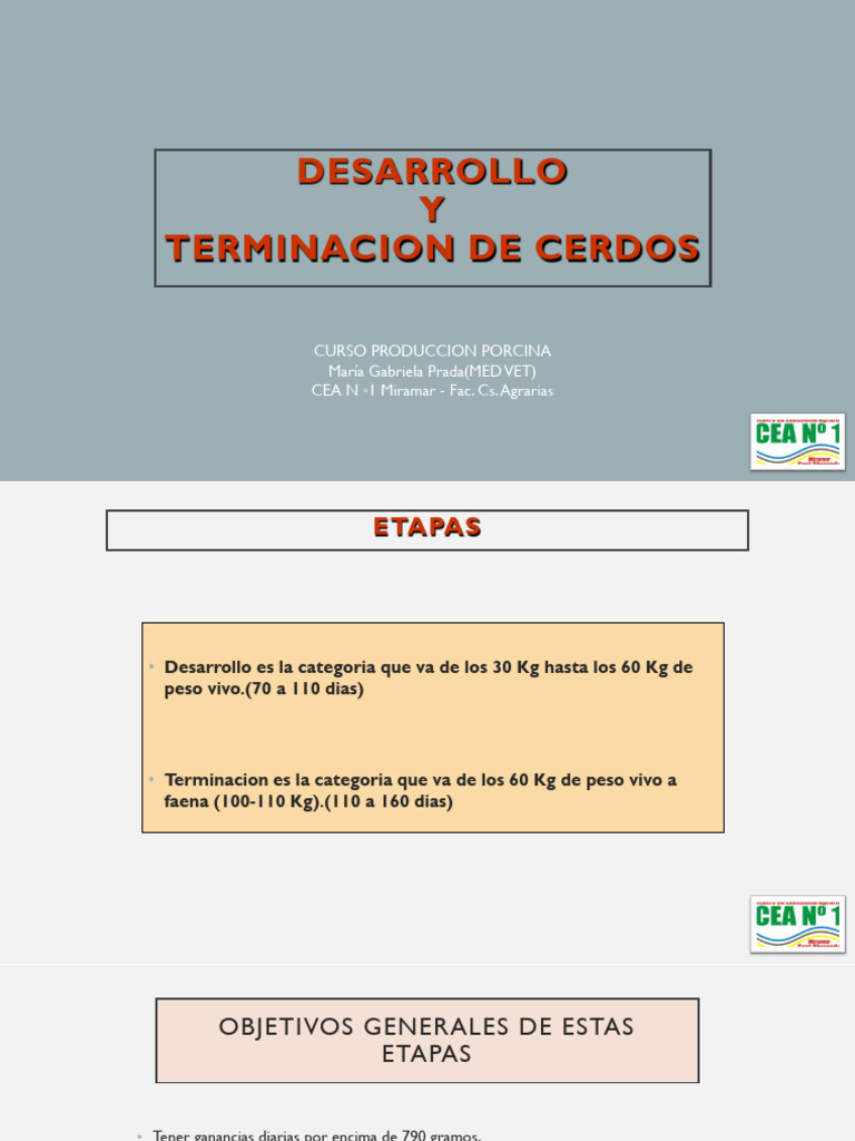 9-Desarrollo y Terminacion | PDF | Agua | Cerdo