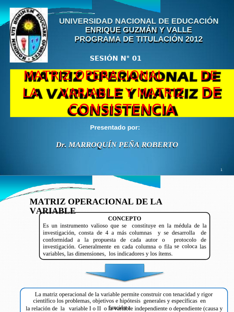 Matriz Operacional de Variable y Consistencia-19!08!12 | PDF | Abuso ...