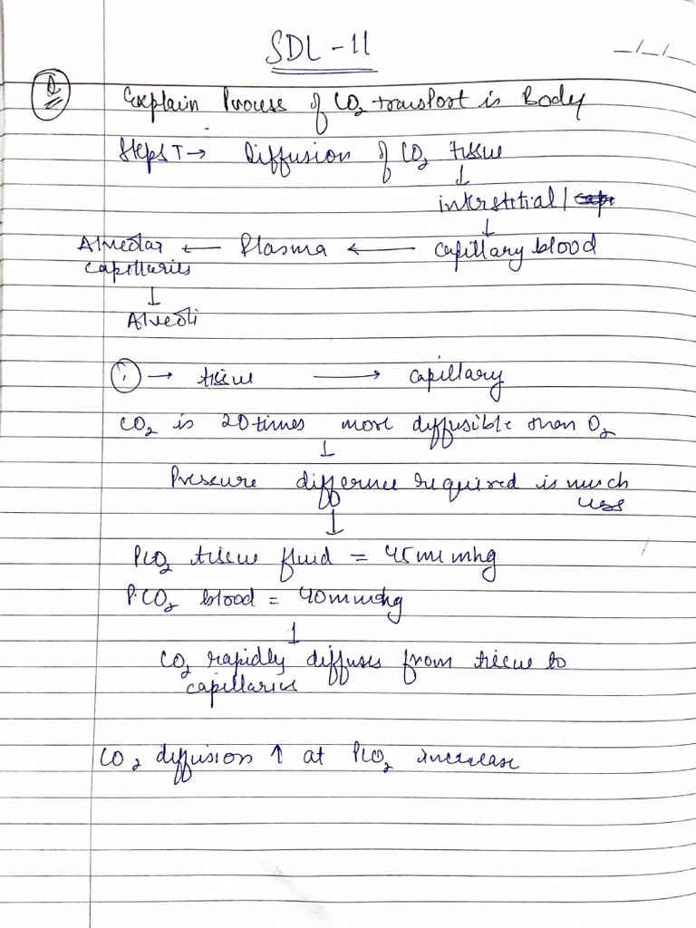 Aaditya Kaushik 225501016 SDL 11 | PDF