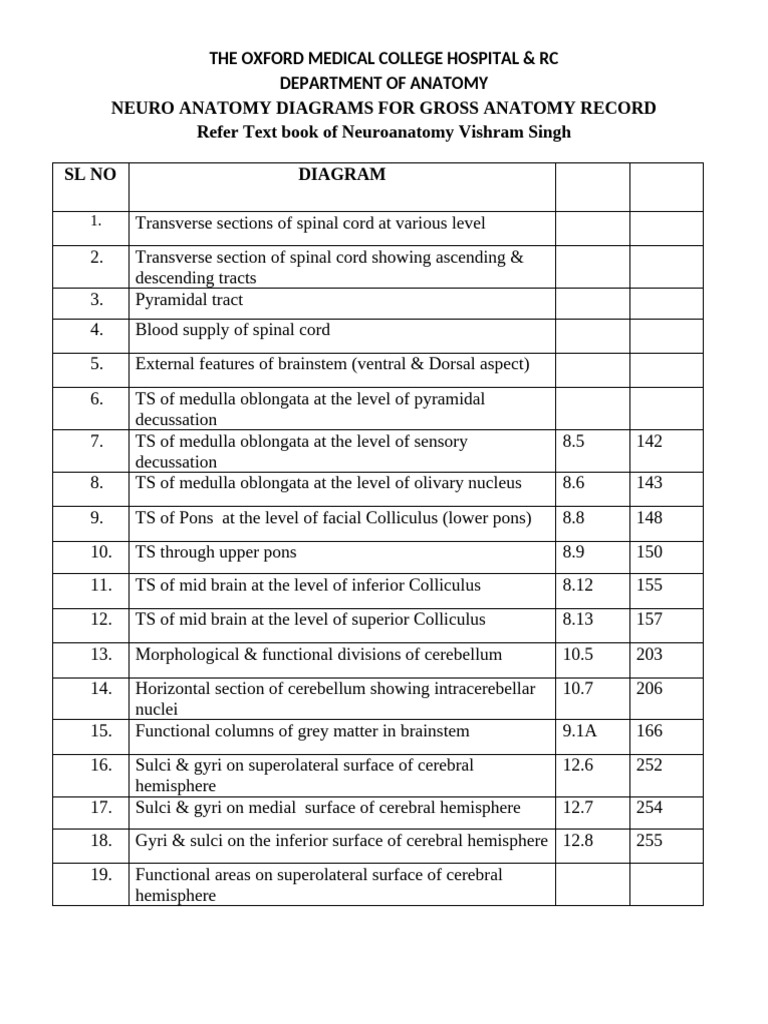 Diagrams For Neuroanatomy | PDF | Cerebrum | Brainstem