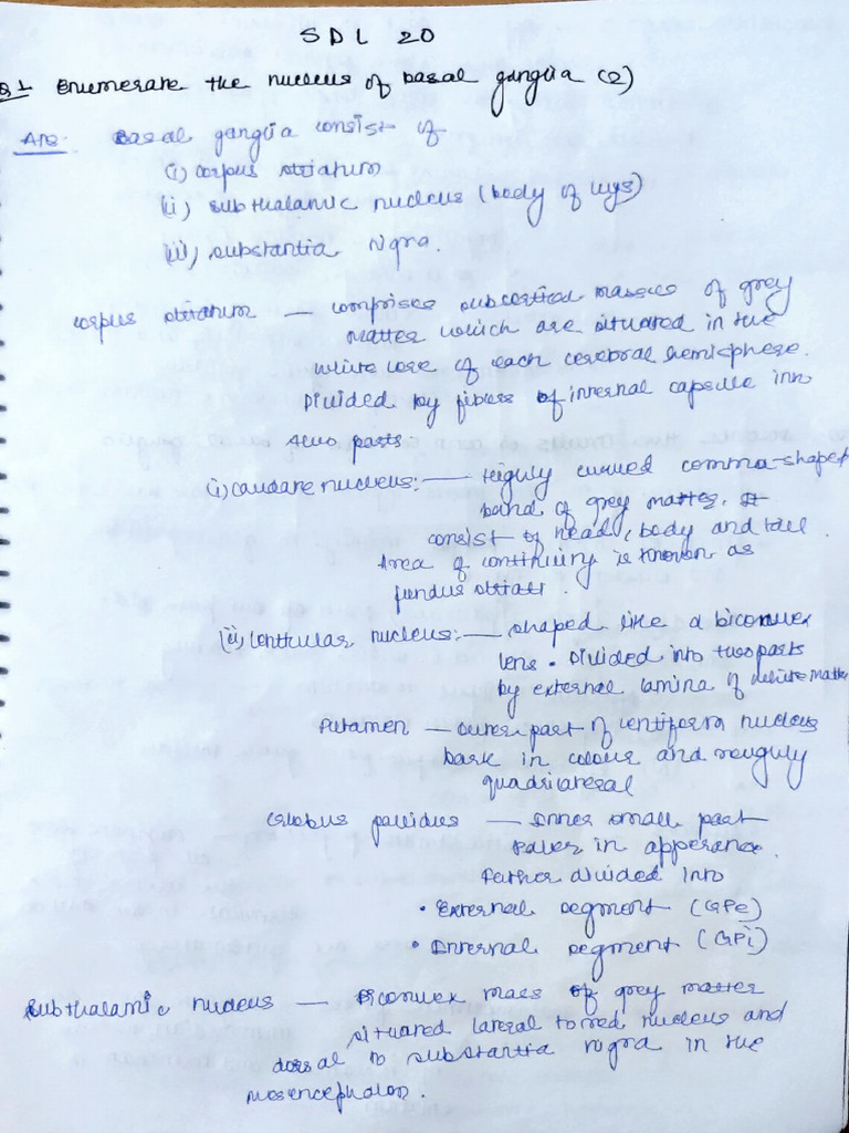 Aaditya Kaushik 225501016 SDL 20 | PDF