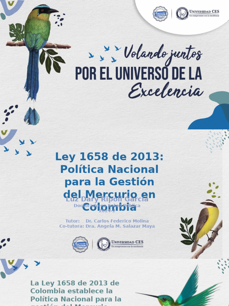 Presentación Ley 1658 | PDF | Mercurio (Elemento)