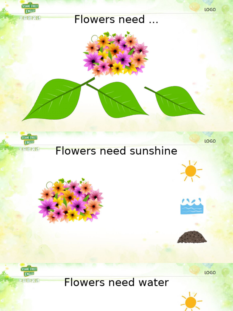 P1 - Flowers, Same Different | PDF