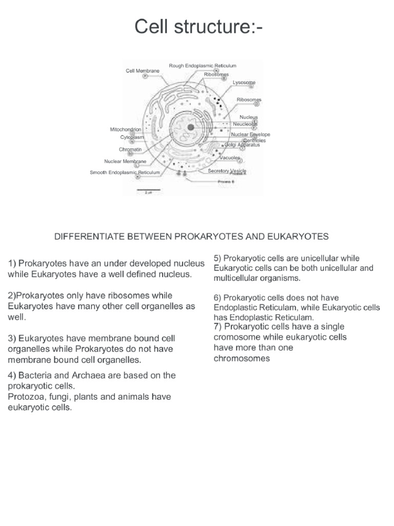 Nucleus | PDF