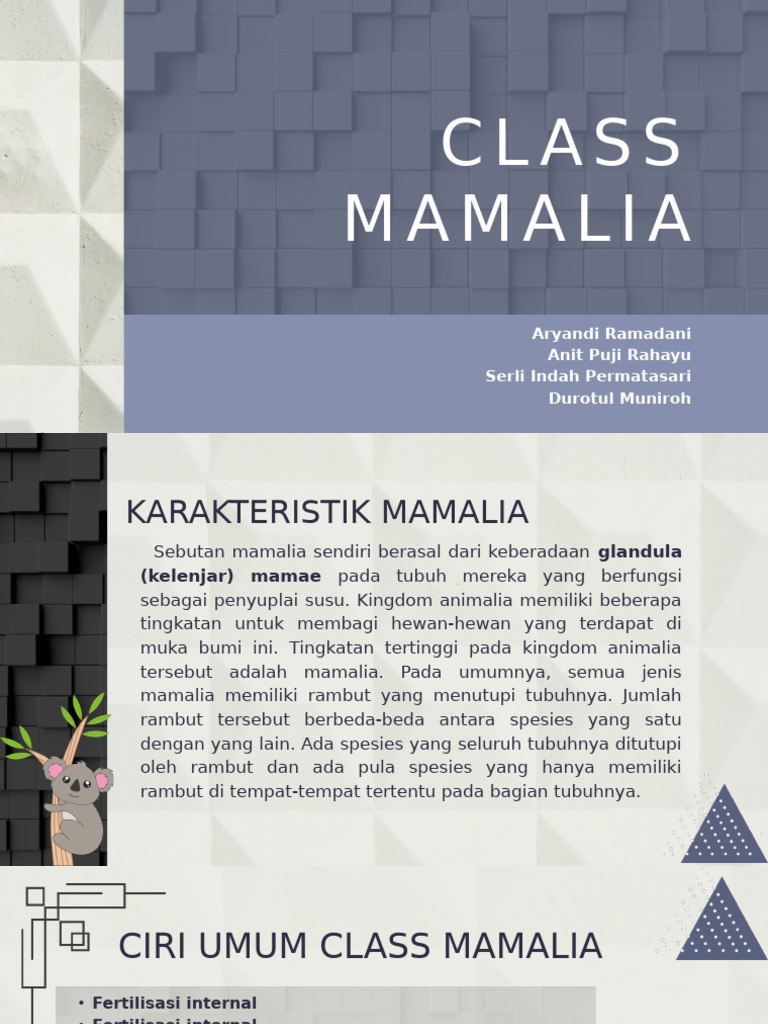 Ppt. Class Mamalia. Kel 5 | PDF