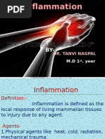 Inflammatory Response Flowchart | PDF | Inflammation | Medicine