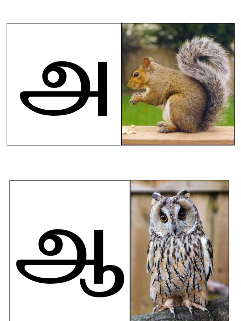 Tamil Vowels Alphabets and Image | PDF
