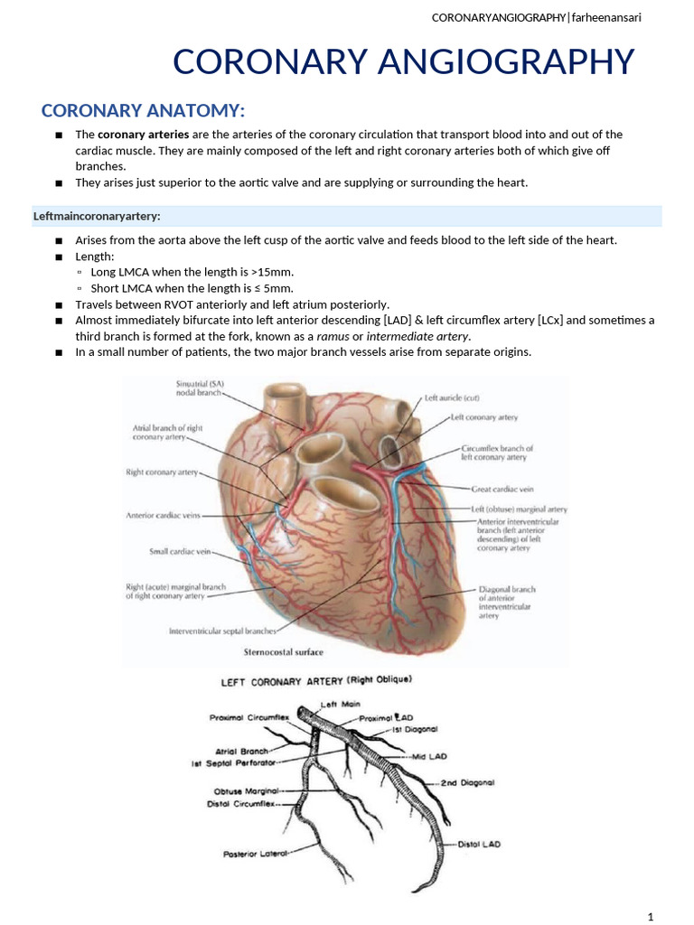 Coronary Angiography | PDF | Coronary Circulation | Heart Valve