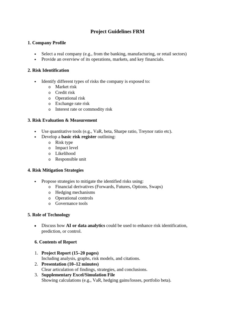 Project Guidelines FRM | PDF