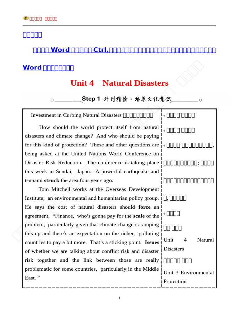 Global Strategies for Natural Disaster Mitigation | PDF | Natural Disasters