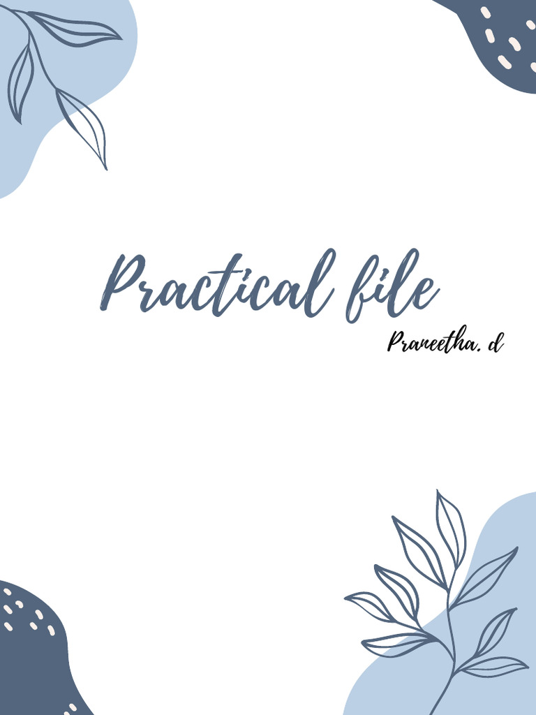 Practical File For Submission | PDF