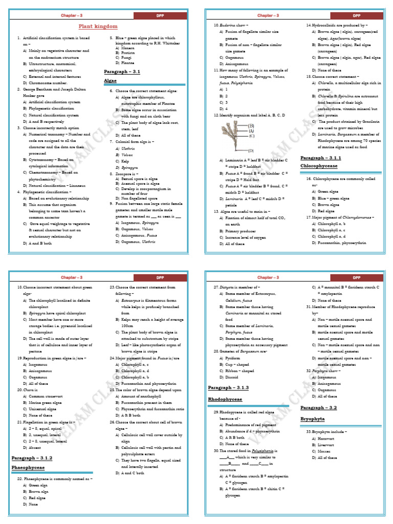 CH - 03 Plant Kingdom DPP XI-1 | PDF | Moss | Spore
