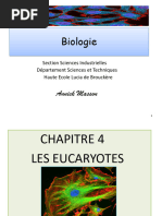 Acinus - Définition Et Explications - AquaPortail | PDF | Plantes ...